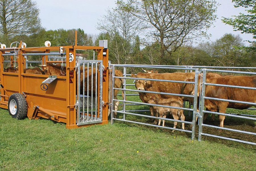 Installation de contention en pâture. La sécurité en priorité - Alliance Elevage