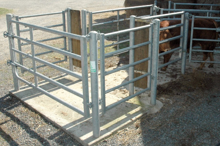 Une contention fixe adaptée pour plus d’efficacité - Alliance Elevage