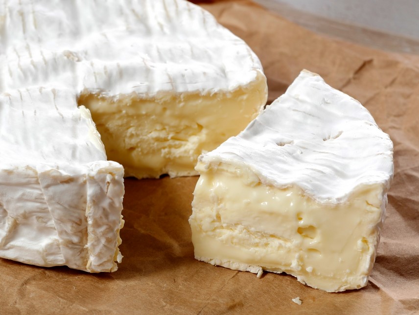 Seuls les camemberts AOP pourront porter la mention “Fabriqué en Normandie” - Alliance Elevage