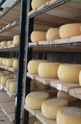 « La Fromagerie Rwanda », un petit projet devenu grand - Alliance Elevage