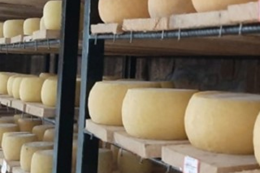 « La Fromagerie Rwanda », un petit projet devenu grand - Alliance Elevage