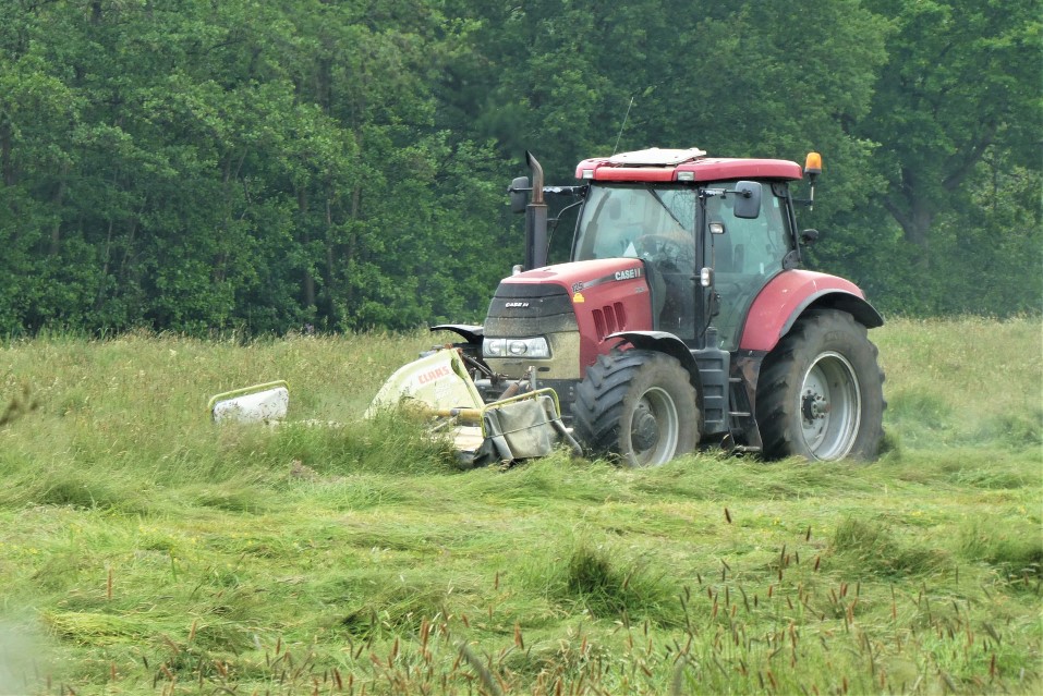 Mélanges de semences pour prairie de longue durée Règles de composition ...