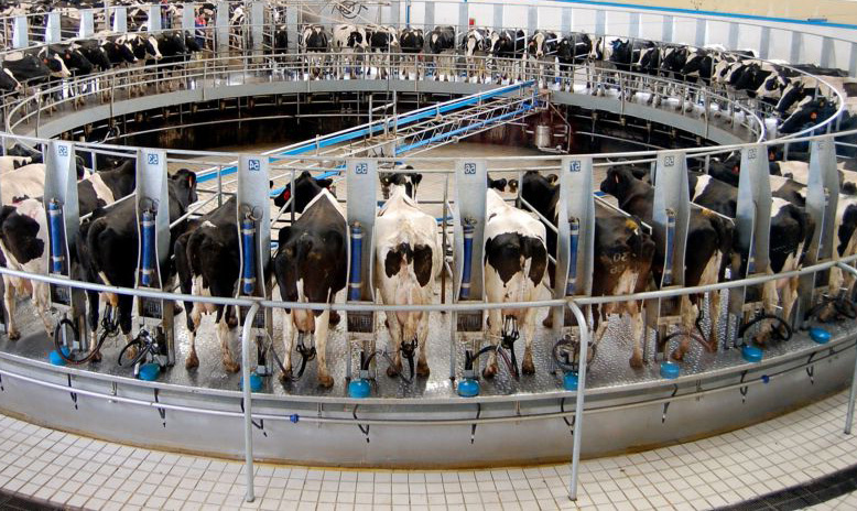 Les grandes fermes industrielles, nouvelle norme de l’agriculture ...