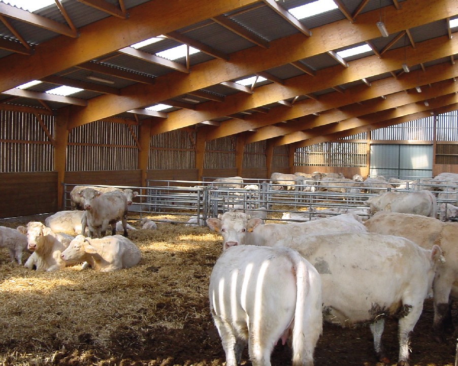 La ventilation des bâtiments d’élevage - Alliance Elevage