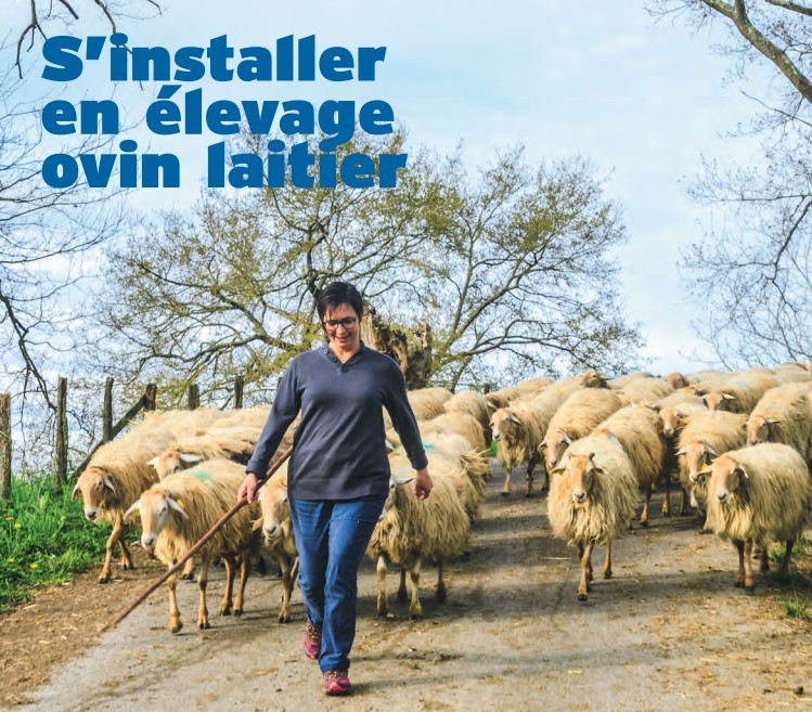 Les guides à l’installation ovin lait et viande d’Inn’Ovin font peau ...