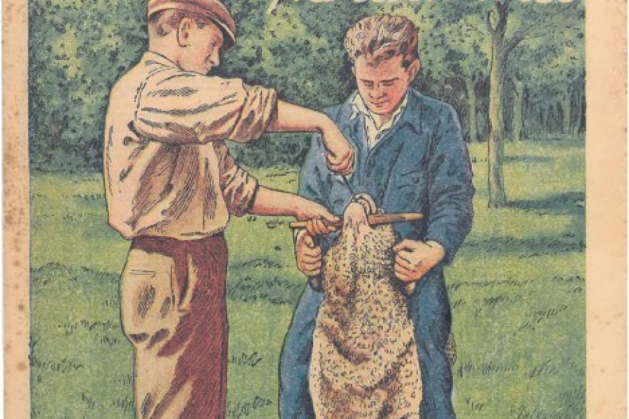 Hommage à un vétérinaire d’une époque antérieure - Alliance Elevage