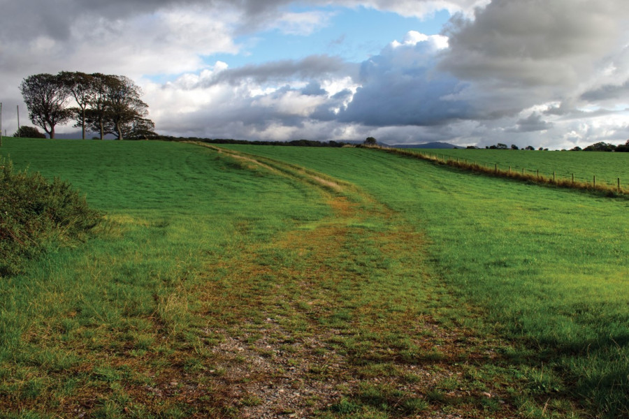 Tassements du sol : de la prévention à la correction - Alliance Elevage