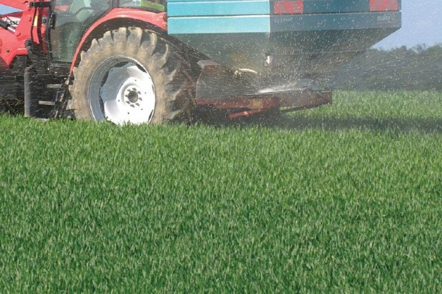 Fertilisation azotée des céréales : quelle forme d’azote choisir au ...