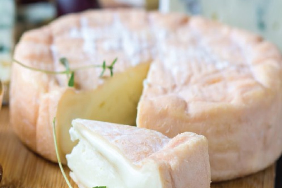 Déroulé de fabrication d’un fromage Pâte molle lactique à croûte lavée ...